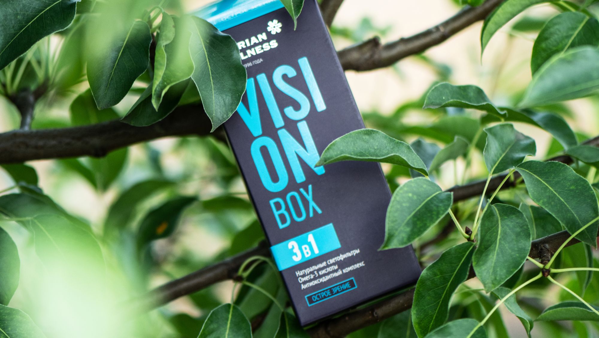 Vision Box / Острое зрение, – купить с доставкой по Казахстану в ...